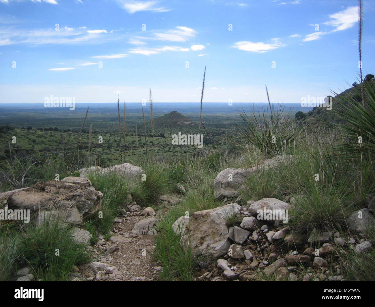 Smith springs hi-res stock photography and images - Alamy