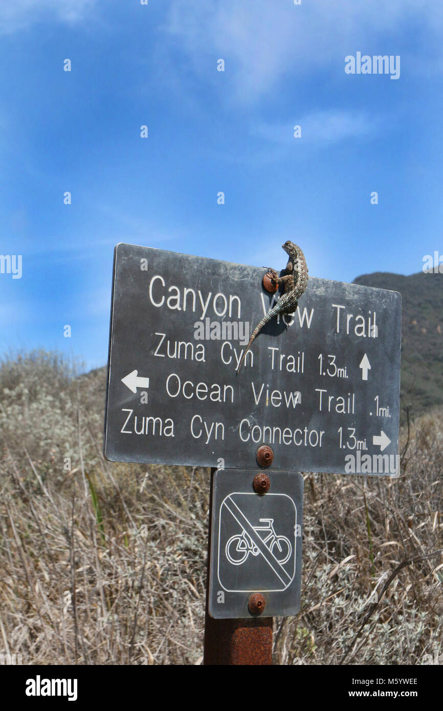 Zuma Canyon. Sights captured along the Ocean view trail Stock Photo - Alamy