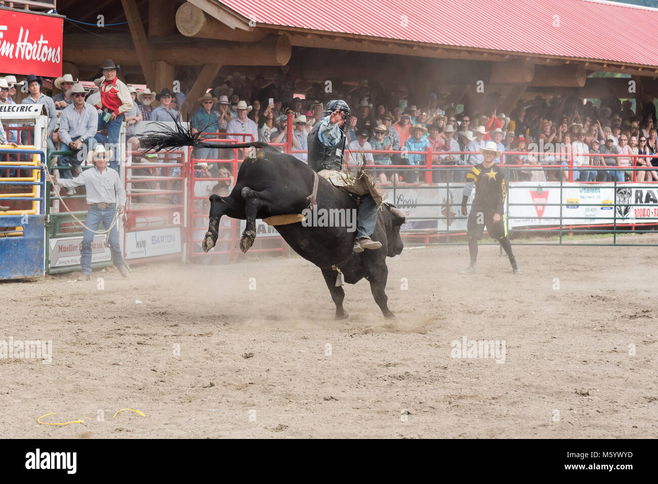 Cowboy riding bucking bull in rodeo High Resolution Stock Photography ...