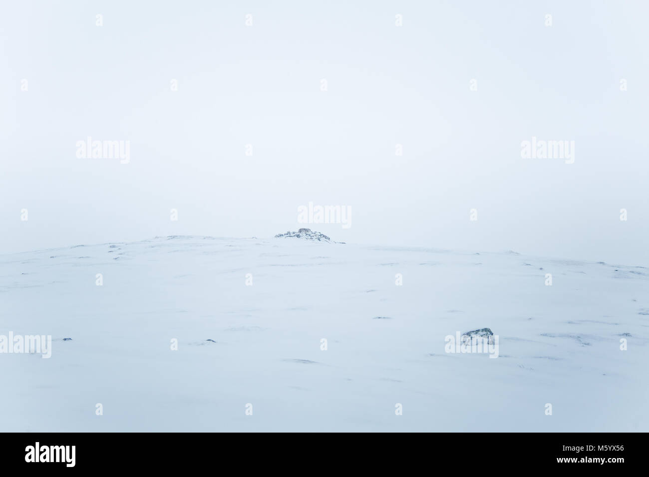 A beautiful minimalist landscape in heavy snowfall. Blizzard in central ...