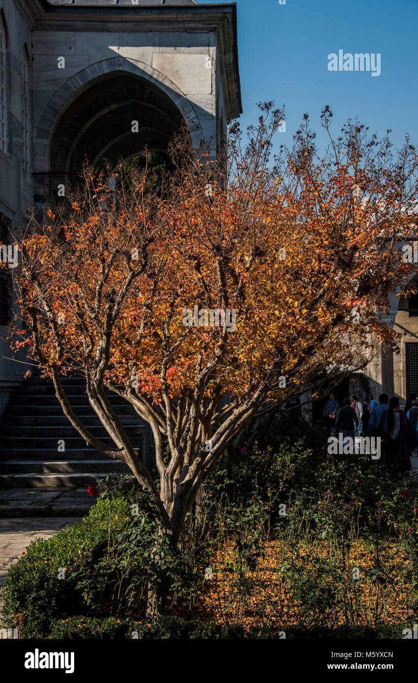 Istanbul topkapi palace jewels hi-res stock photography and images - Alamy