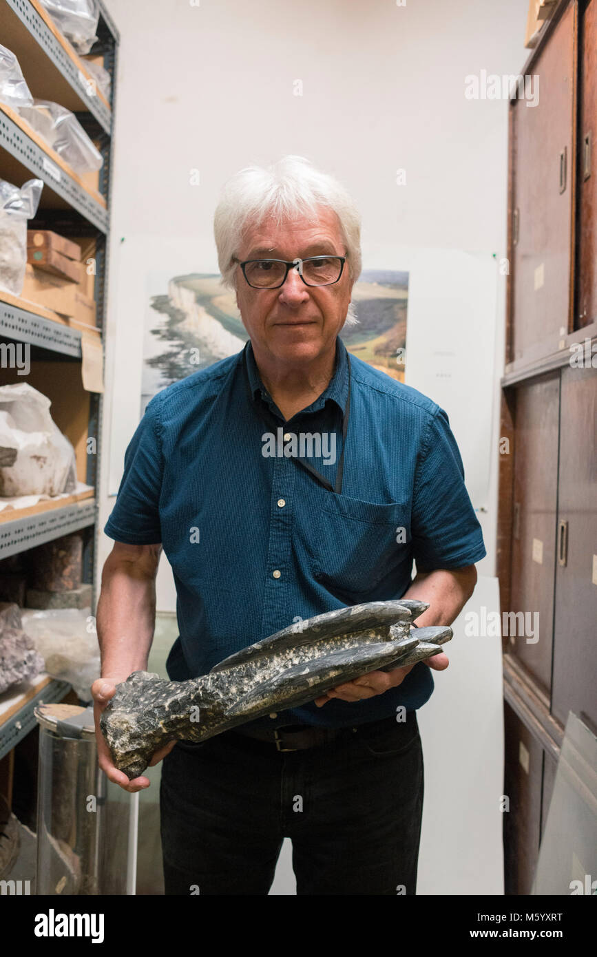 a museum worker poses amongst the collection and archive of the booth ...