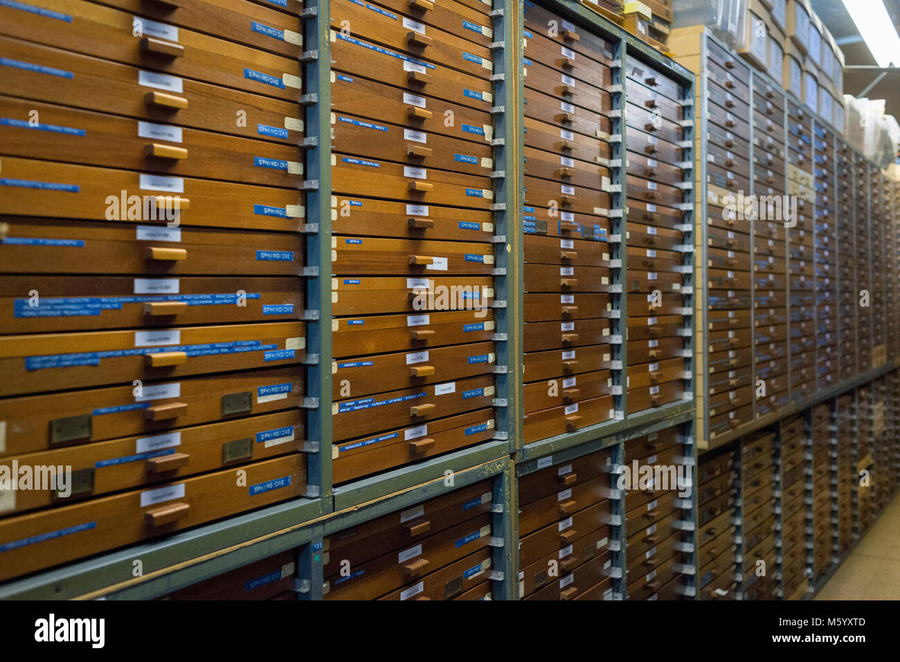 details of inside the storage and archive rooms of Brighton & Hove's ...