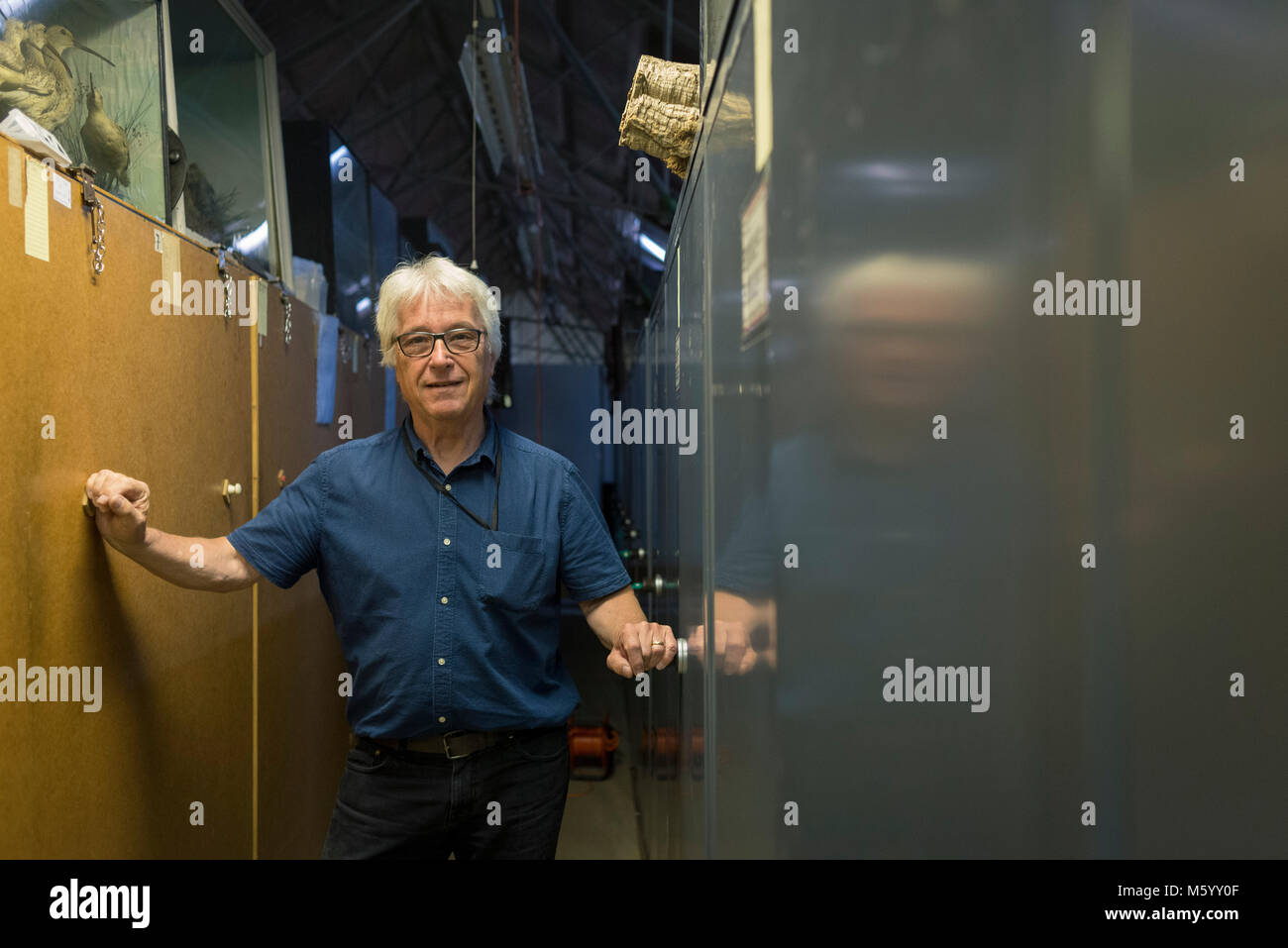 a museum worker poses amongst the collection and archive of the booth ...