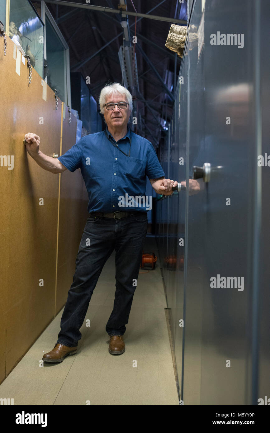 a museum worker poses amongst the collection and archive of the booth ...