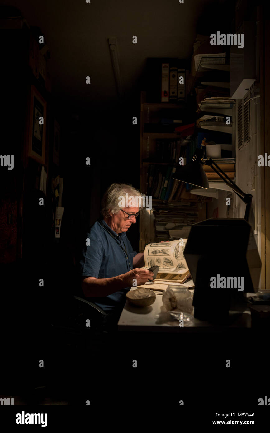 a museum worker poses amongst the collection and archive of the booth ...
