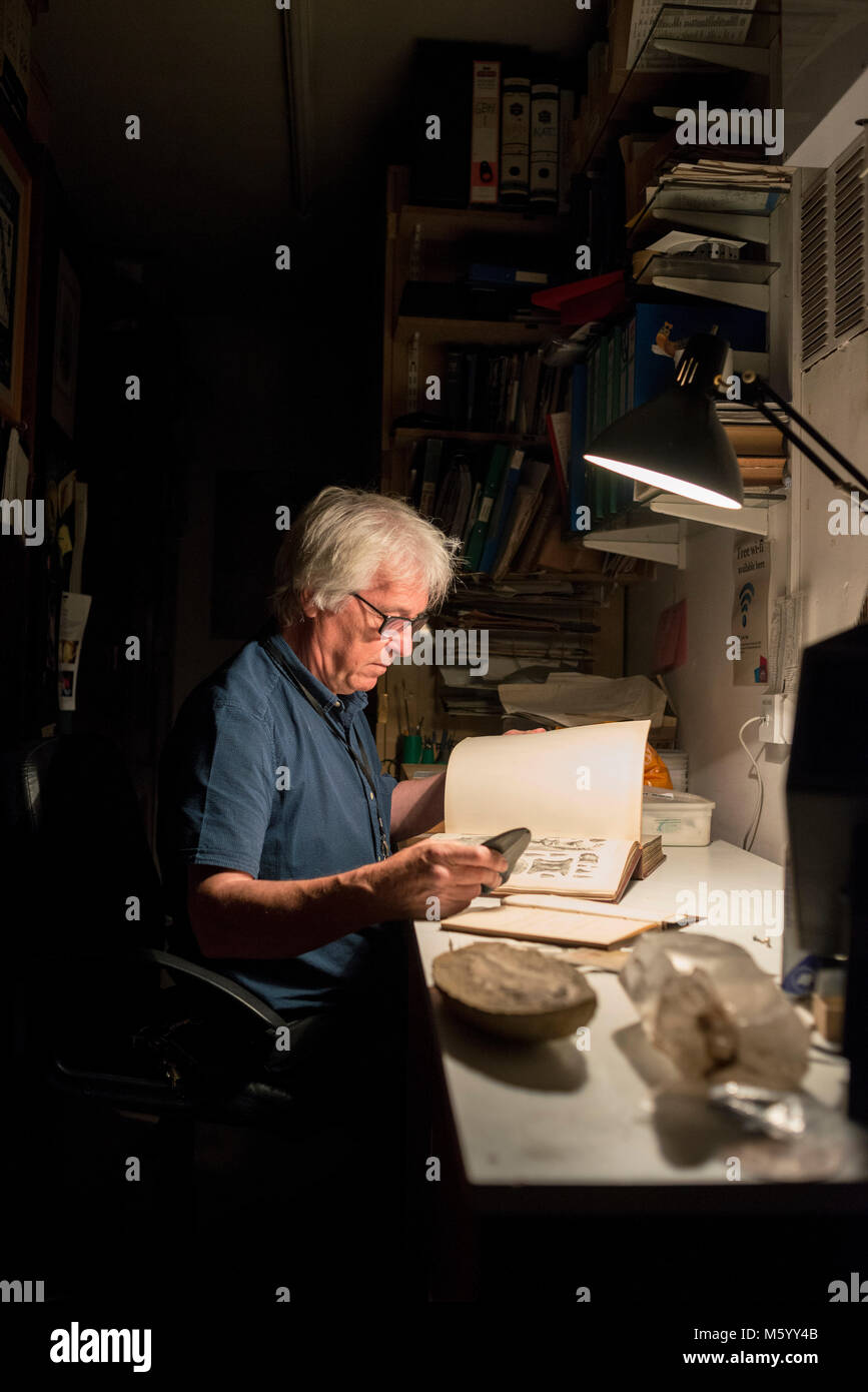 a museum worker poses amongst the collection and archive of the booth ...
