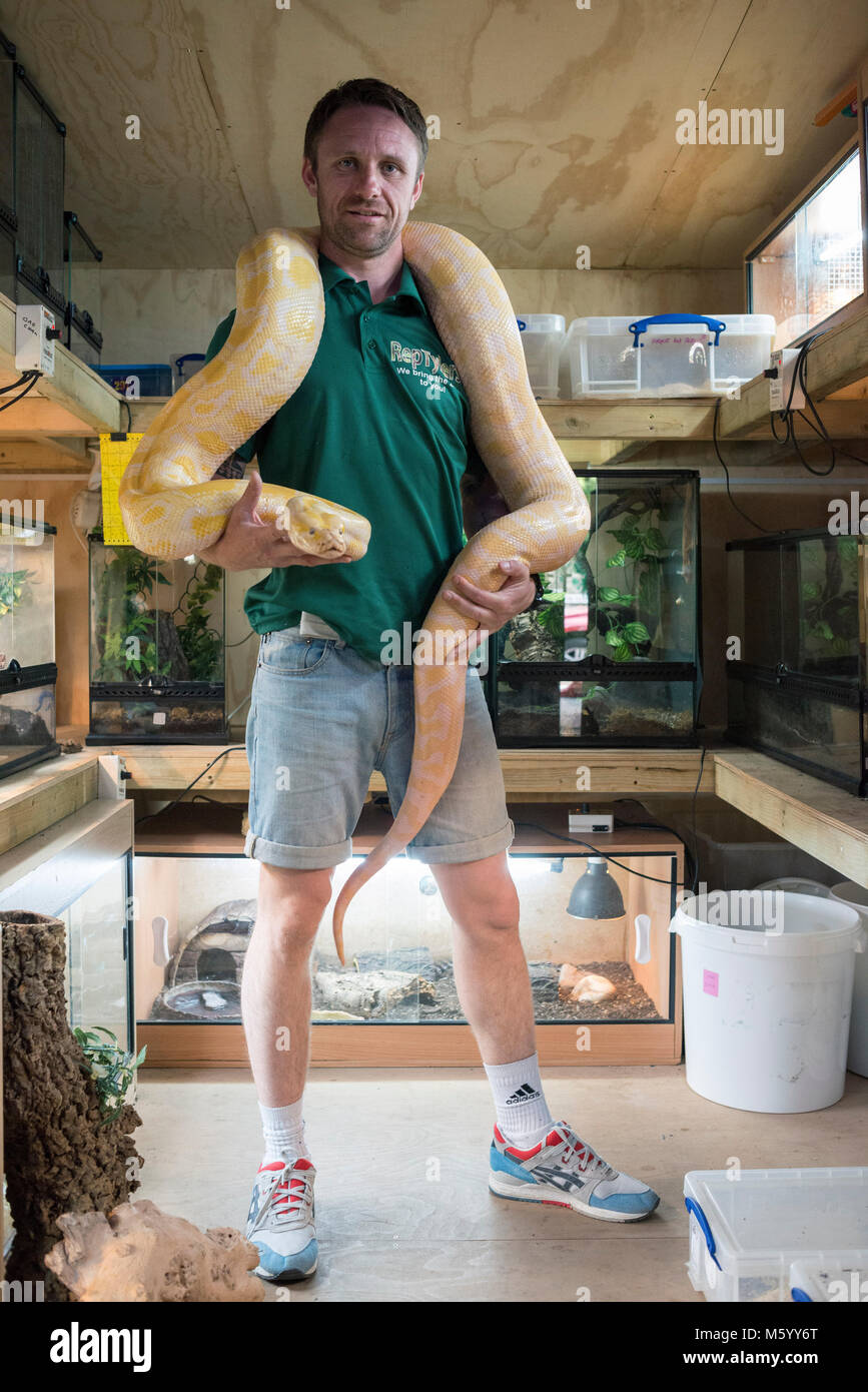 a real person shows off and displays their collection of reptiles and ...