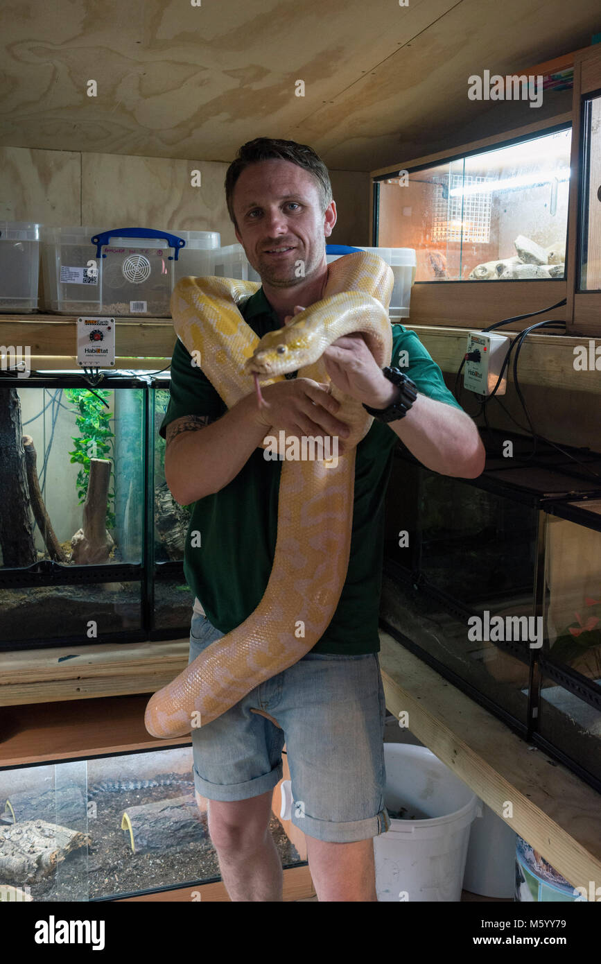 a real person shows off and displays their collection of reptiles and ...
