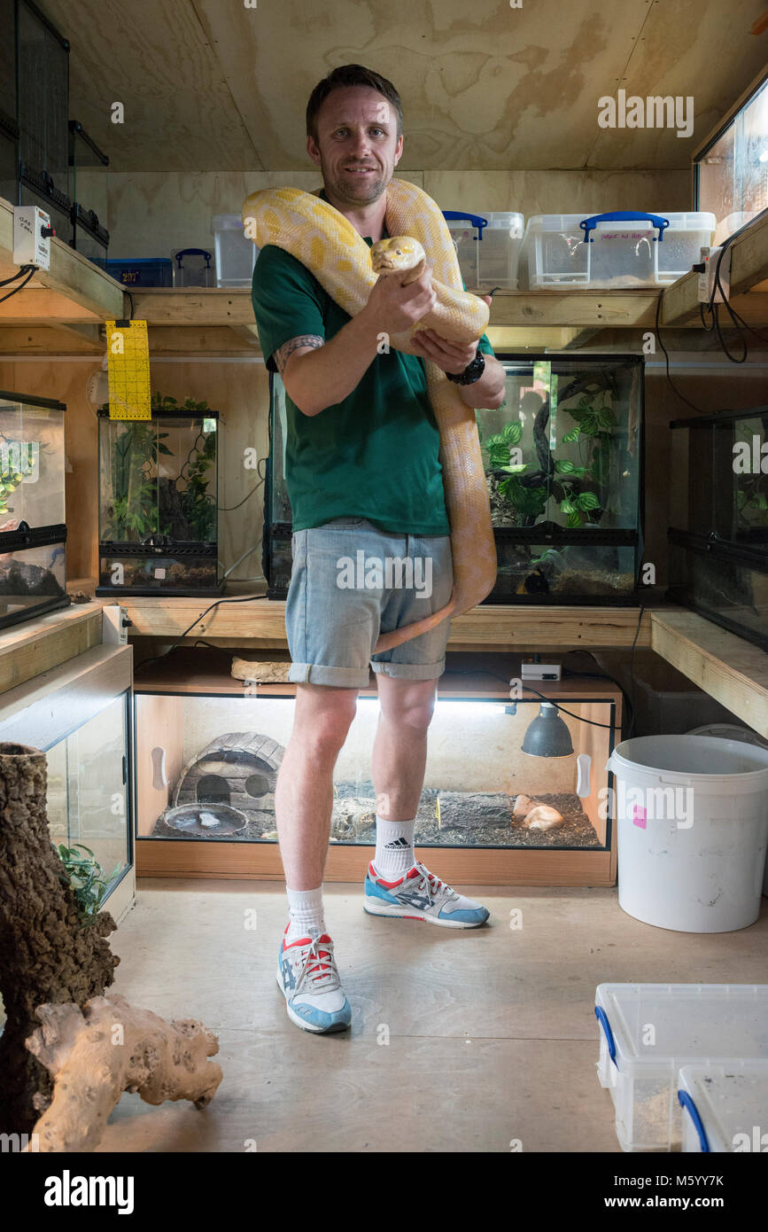 a real person shows off and displays their collection of reptiles and ...