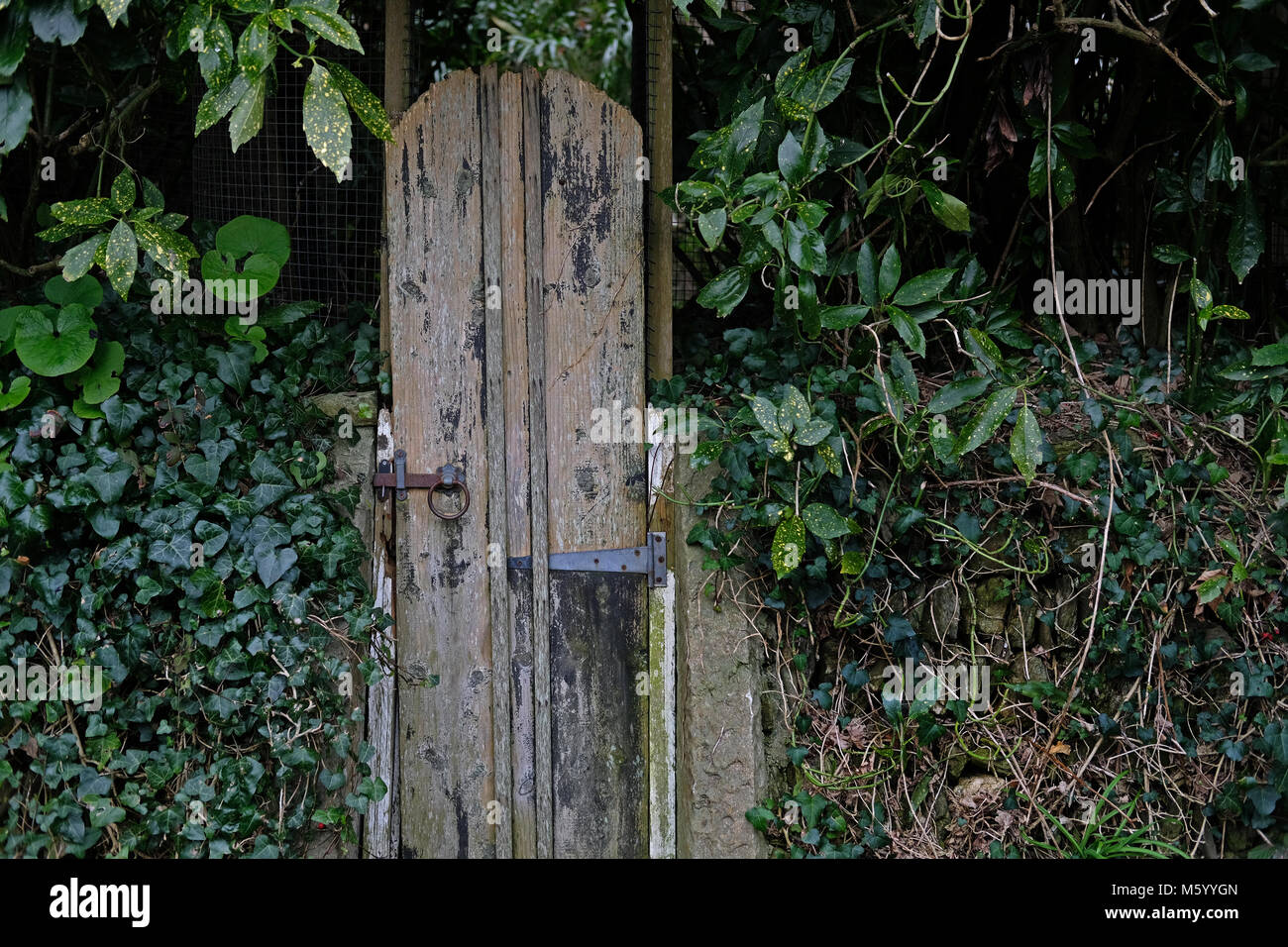 A very narrow wooden gate Stock Photo - Alamy