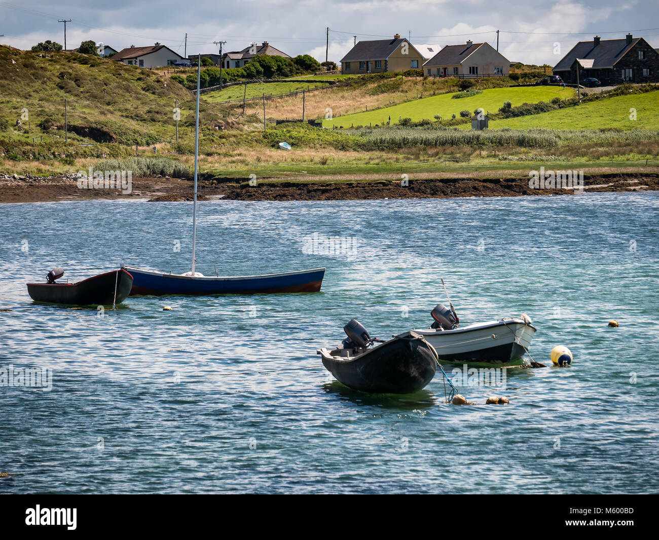 History Of Fishing In Ireland at Xavier Guerard blog