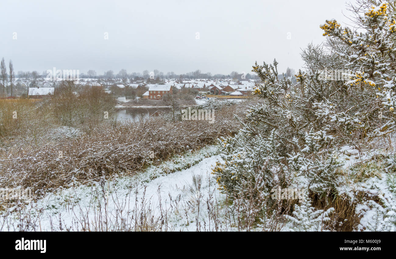 A view of the snow covered scenery at Woolston Eyes in Warrington ...