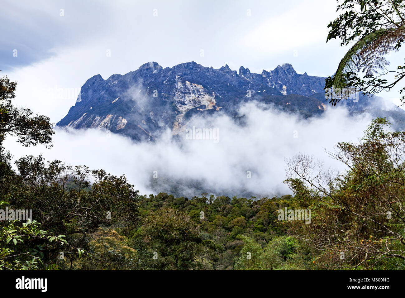 Beautiful view of borneo at Kinabalu Mount, Sabah, Malaysia Stock Photo ...