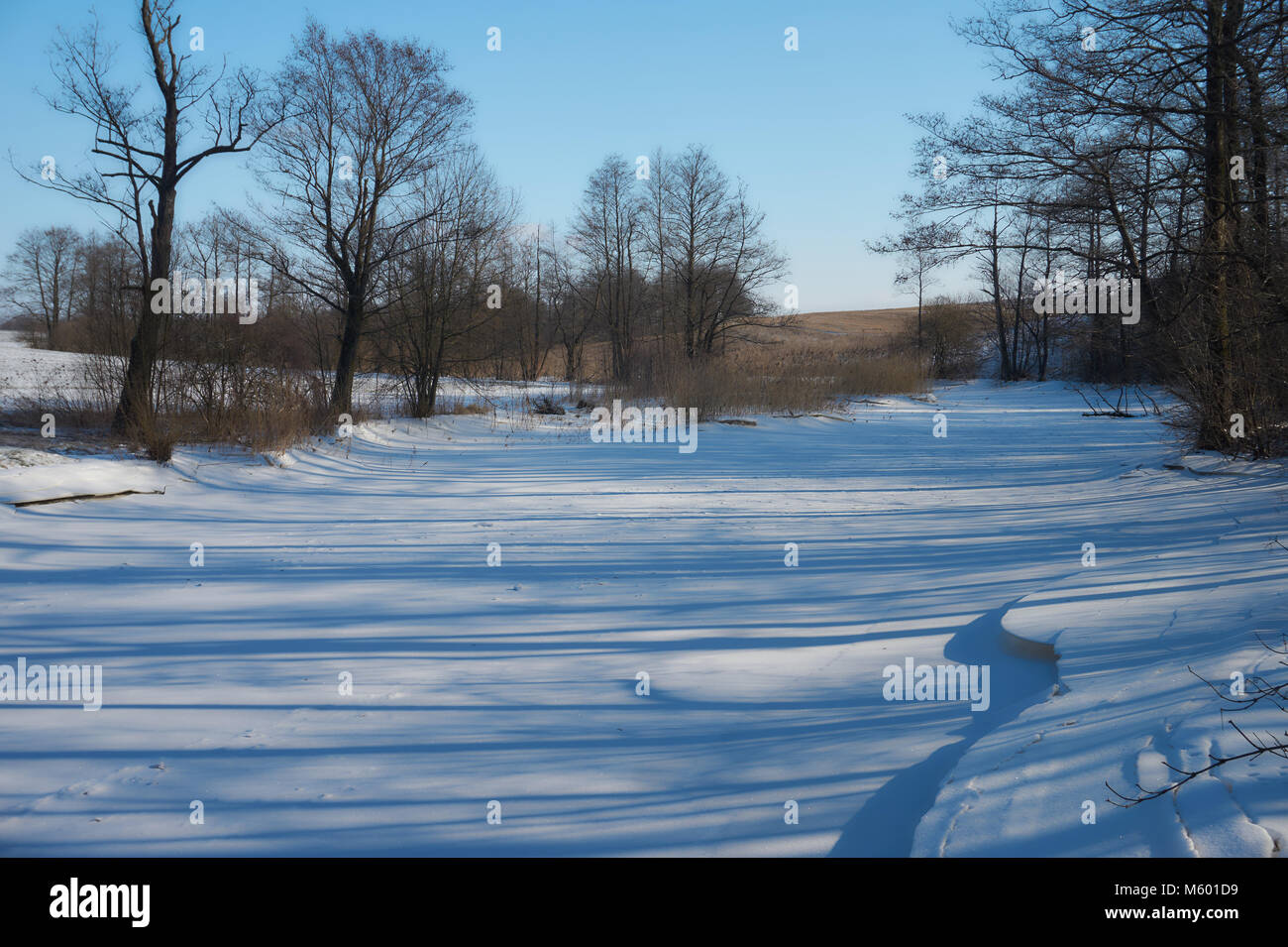 Trees and shrubs riverside hi-res stock photography and images - Alamy
