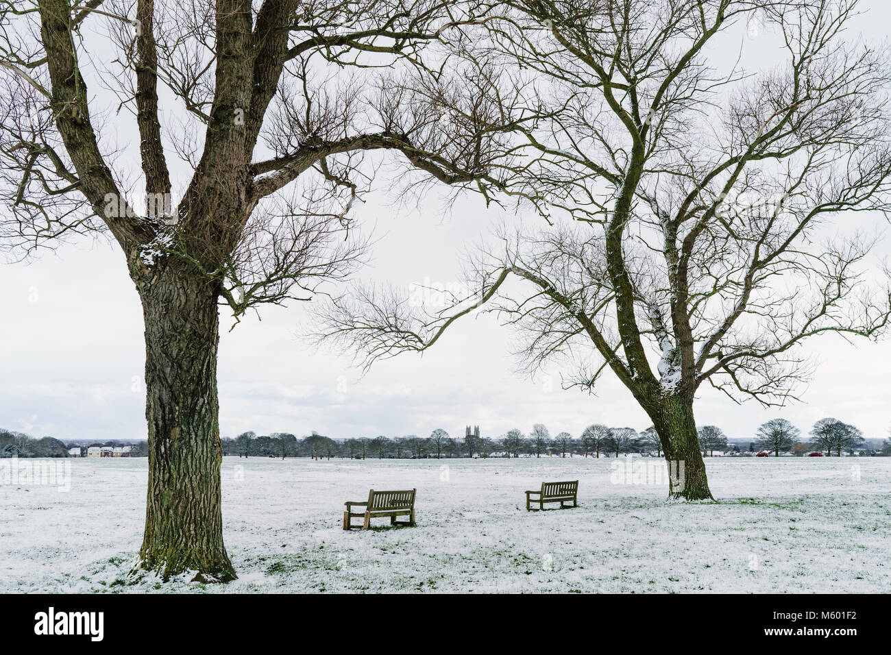 Snow over the Westwood pasture and parkland towards the minster on the ...