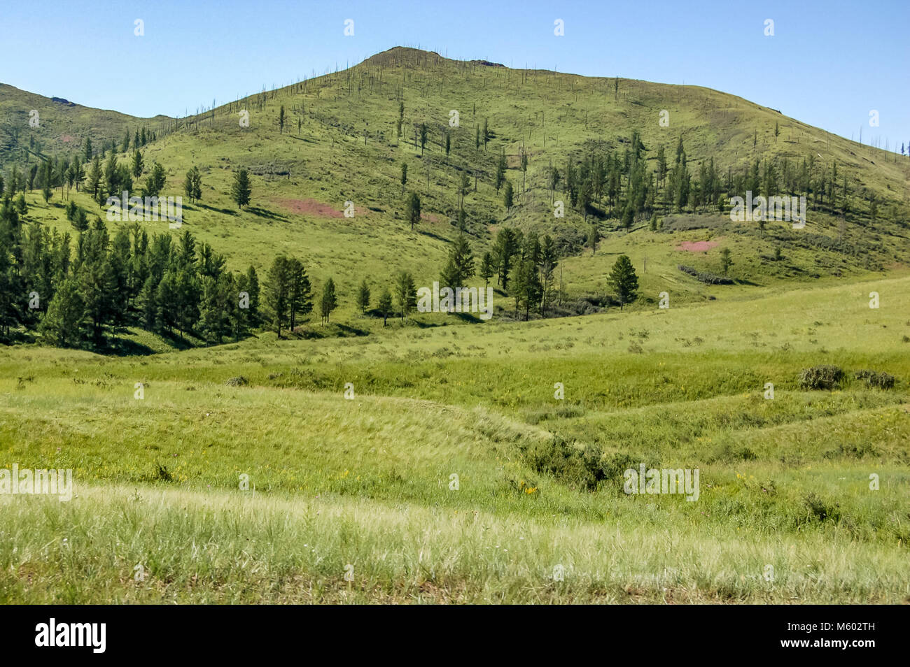 Mongolian landscape hi-res stock photography and images - Alamy