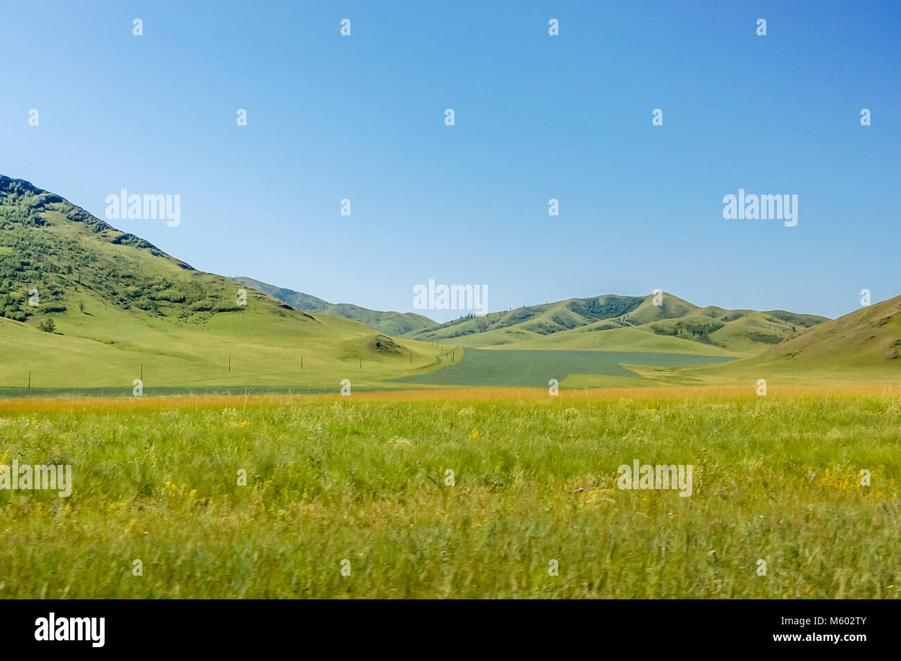 Steppe grasslands hi-res stock photography and images - Alamy