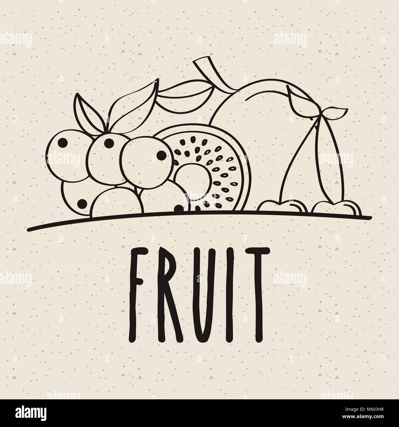 fruit fresh natural food nutrition healthy doodle design Stock Vector ...