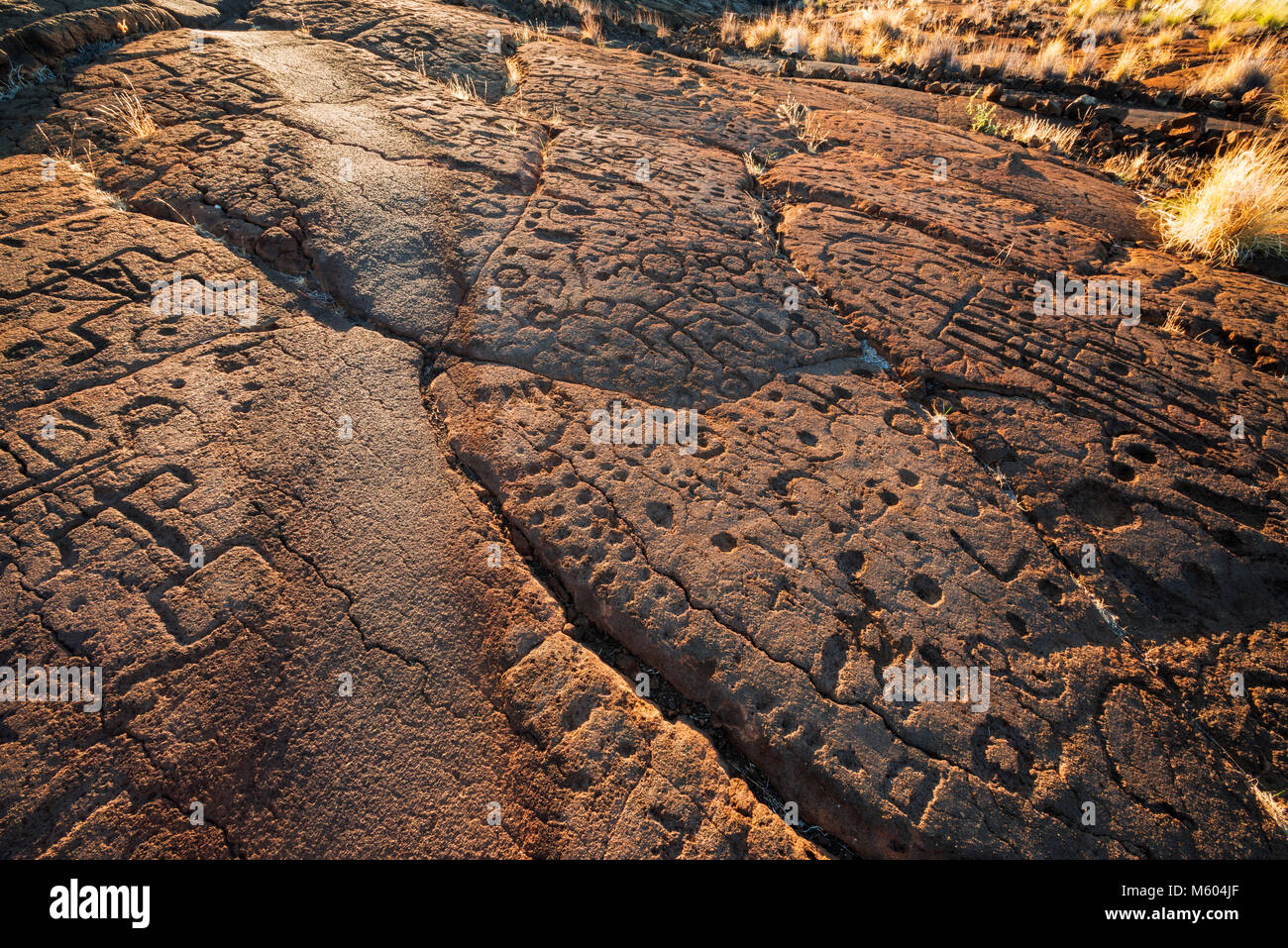 Hawaiian petroglyphs on the Kings Trail at Waikoloa, Kohala Coast, The ...