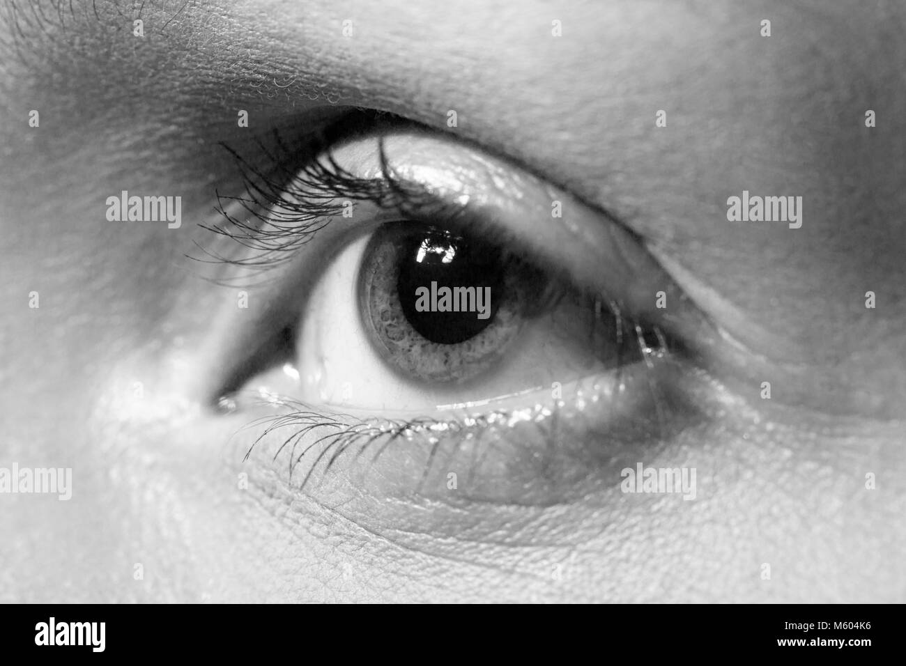 Human eye Black and White Stock Photos & Images - Alamy