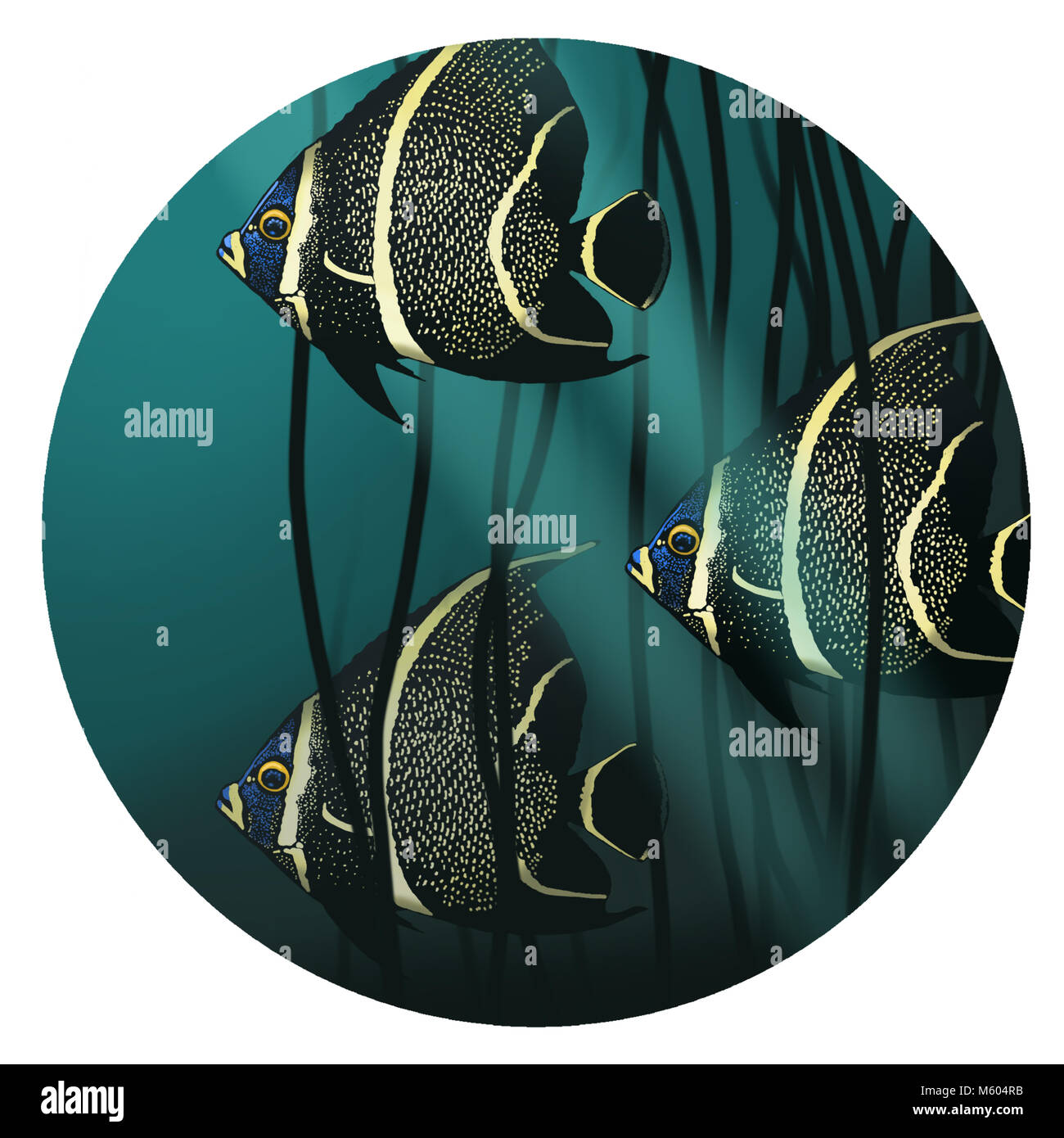 School fishes underwater Cut Out Stock Images & Pictures - Alamy