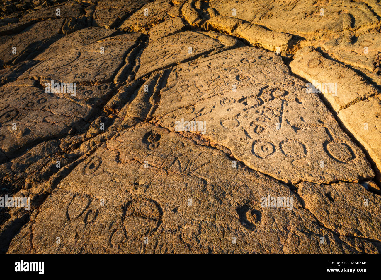 Hawaiian petroglyphs on the Kings Trail at Waikoloa, Kohala Coast, The ...
