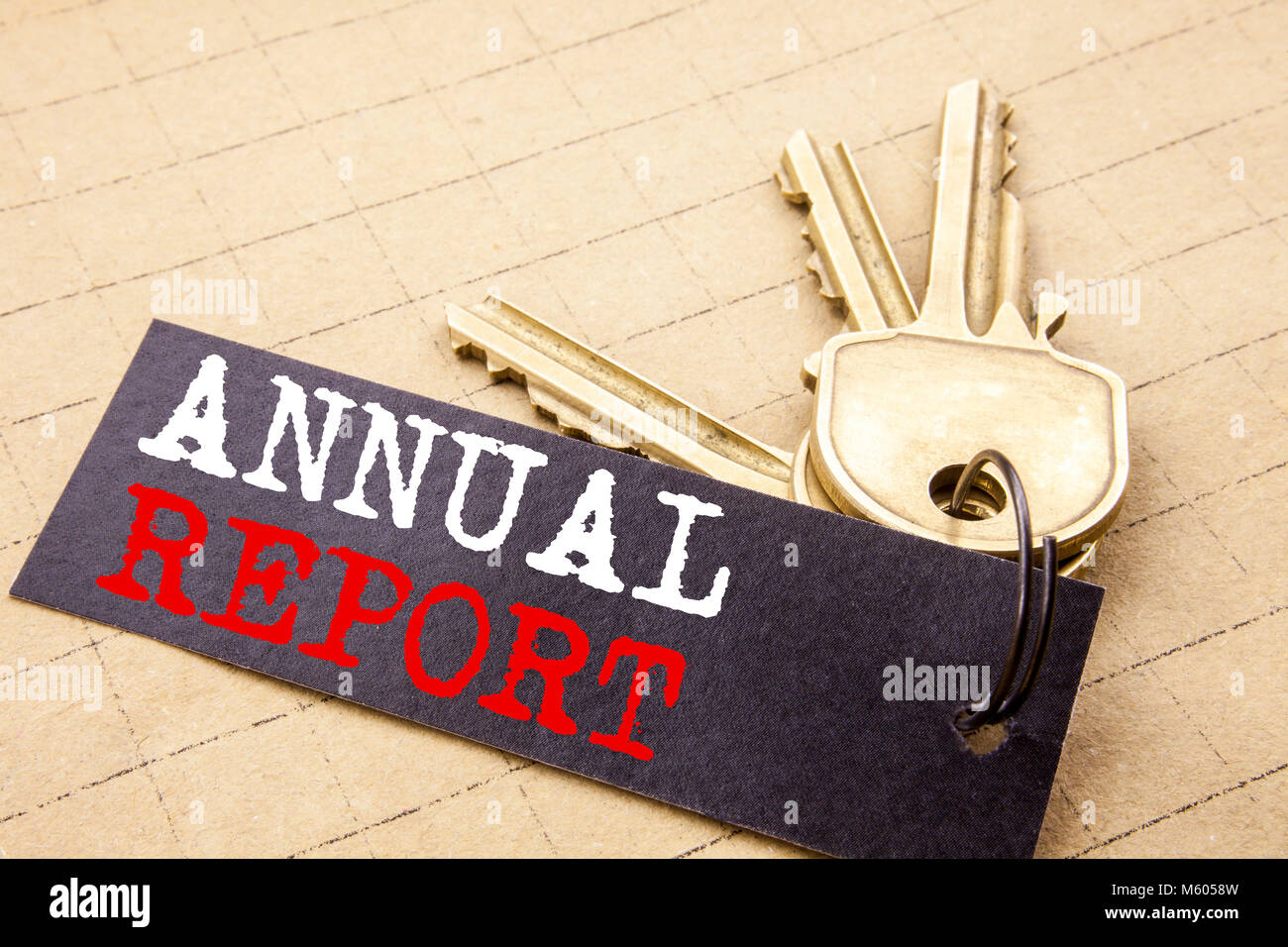 Conceptual hand writing text caption showing Annual Report. Business ...