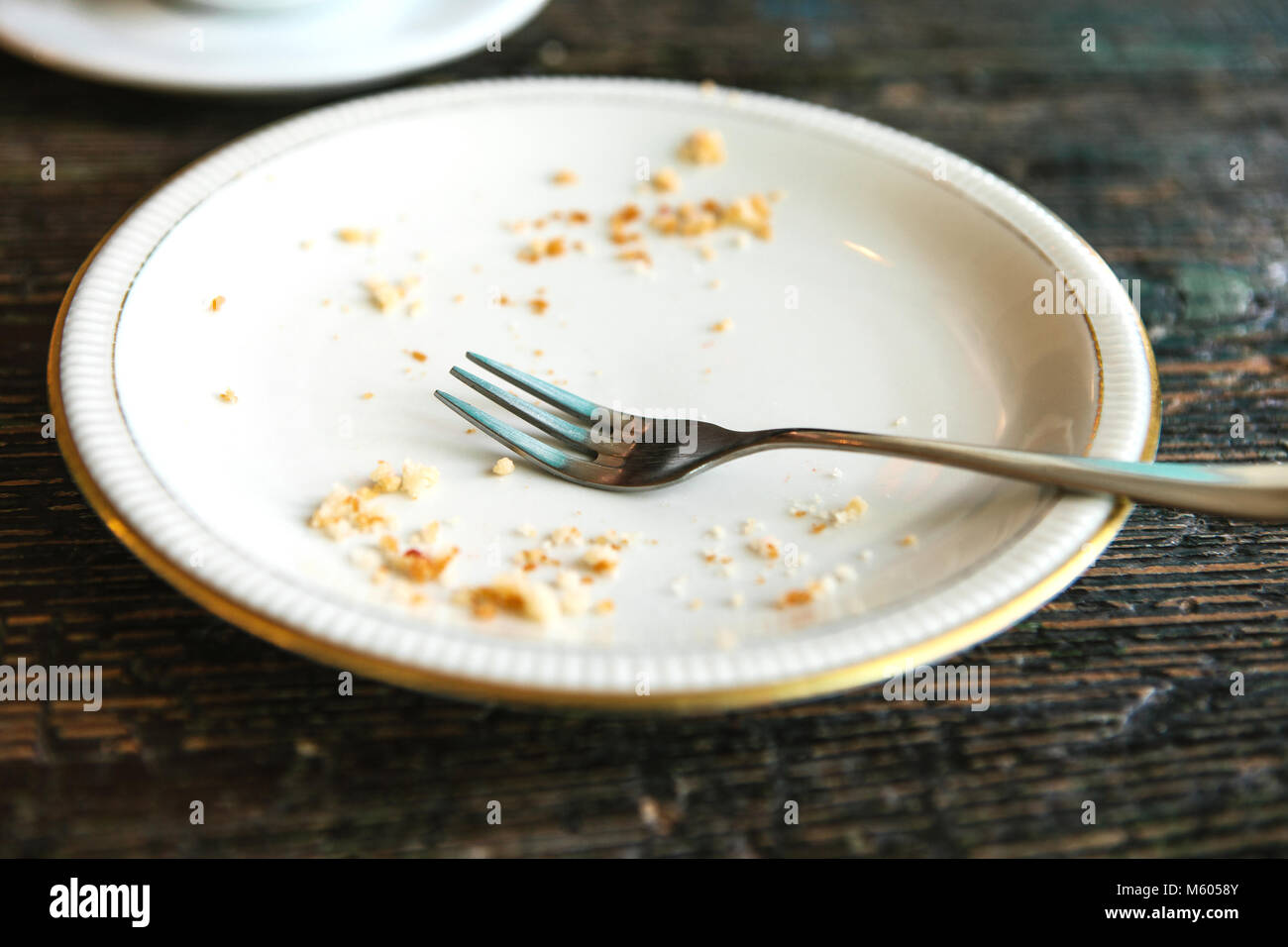 Empty Plate With Pie Crumbs