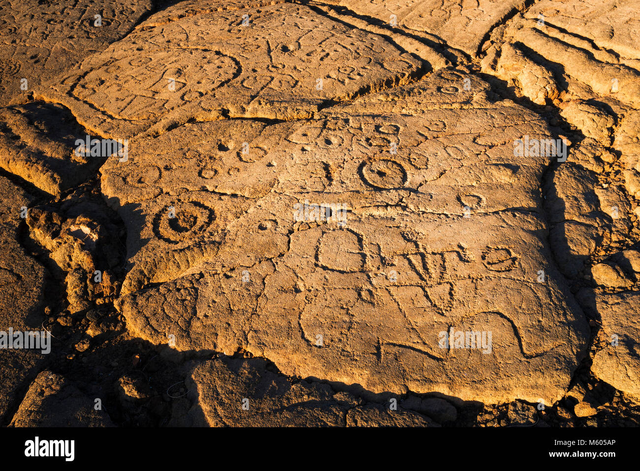 Hawaiian petroglyphs on the Kings Trail at Waikoloa, Kohala Coast, The ...