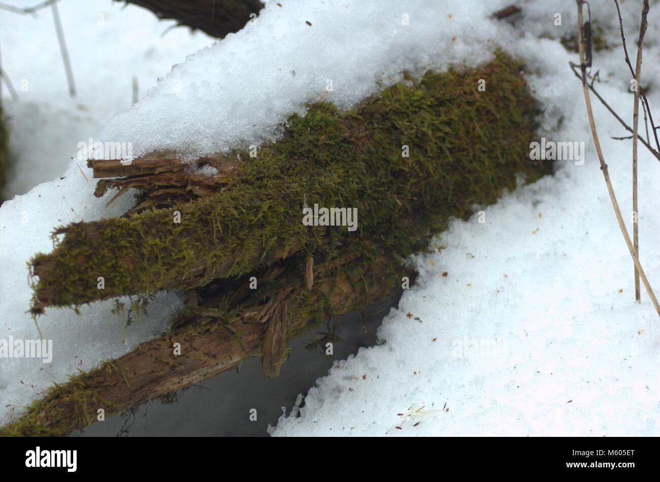 Heber Down Conservation Area in Whitby Ontario Stock Photo - Alamy