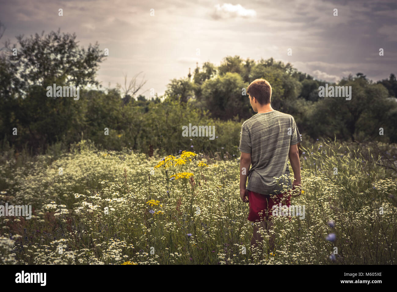 Teenager boy lonely walking summer meadow dramatic moody scenery Stock ...