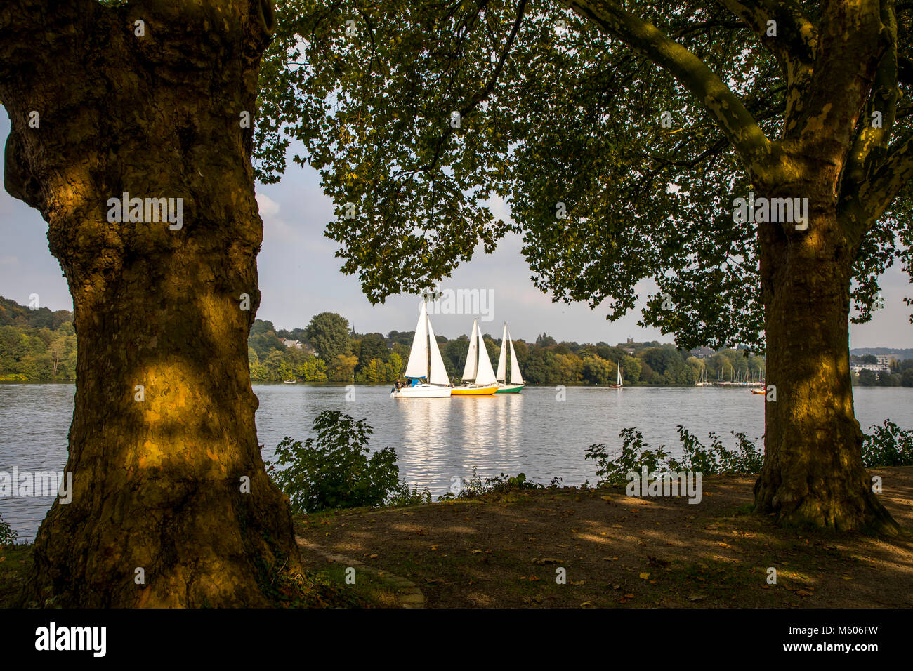 The Baldeneysee Lake, a reservoir of river Ruhr, in Essen, Germany ...