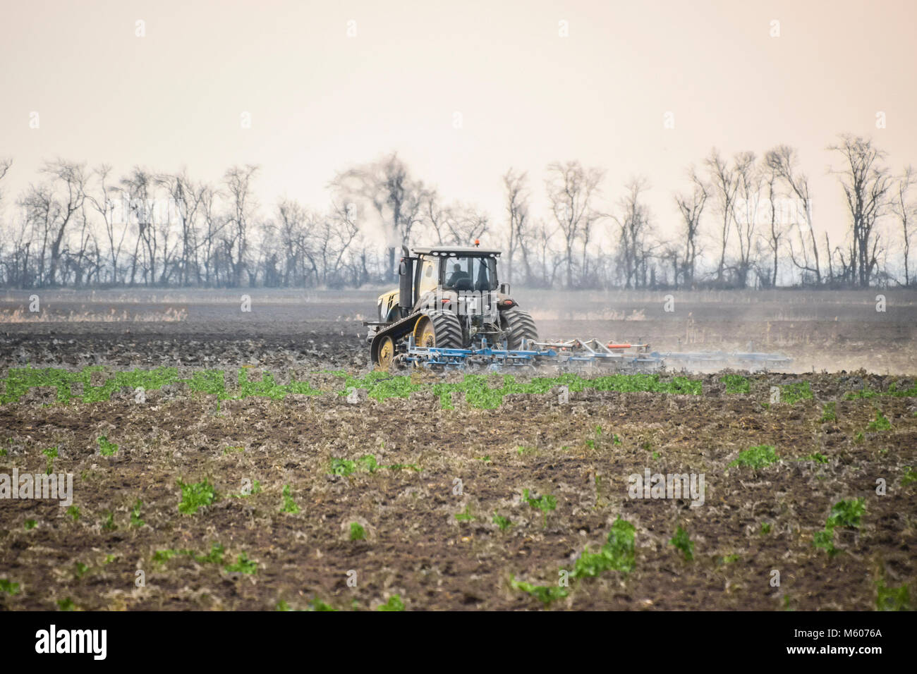 Tractor plowing the soil processes Stock Photo - Alamy