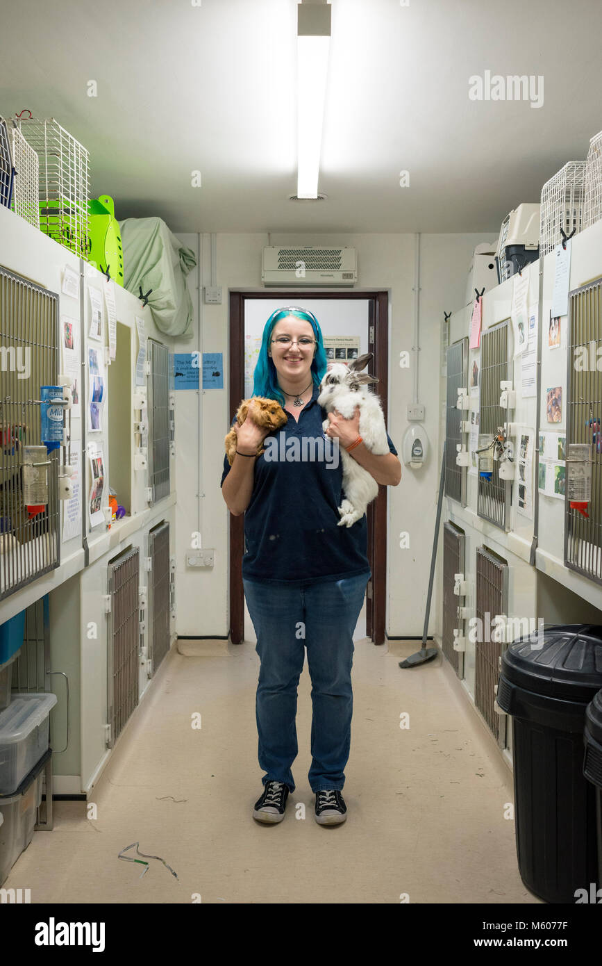 Rabbit rescue centre hi-res stock photography and images - Alamy