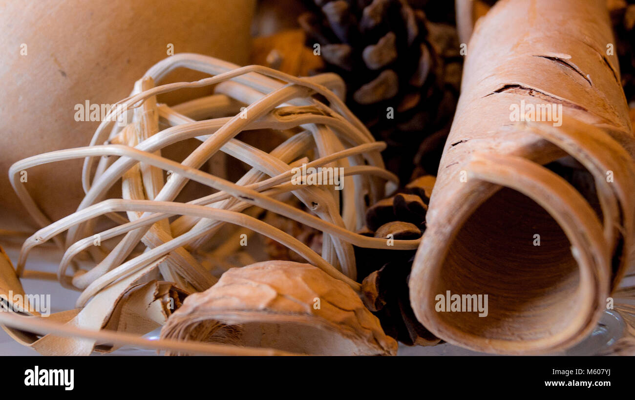 Pine Cone Abstract Stock Photo - Alamy