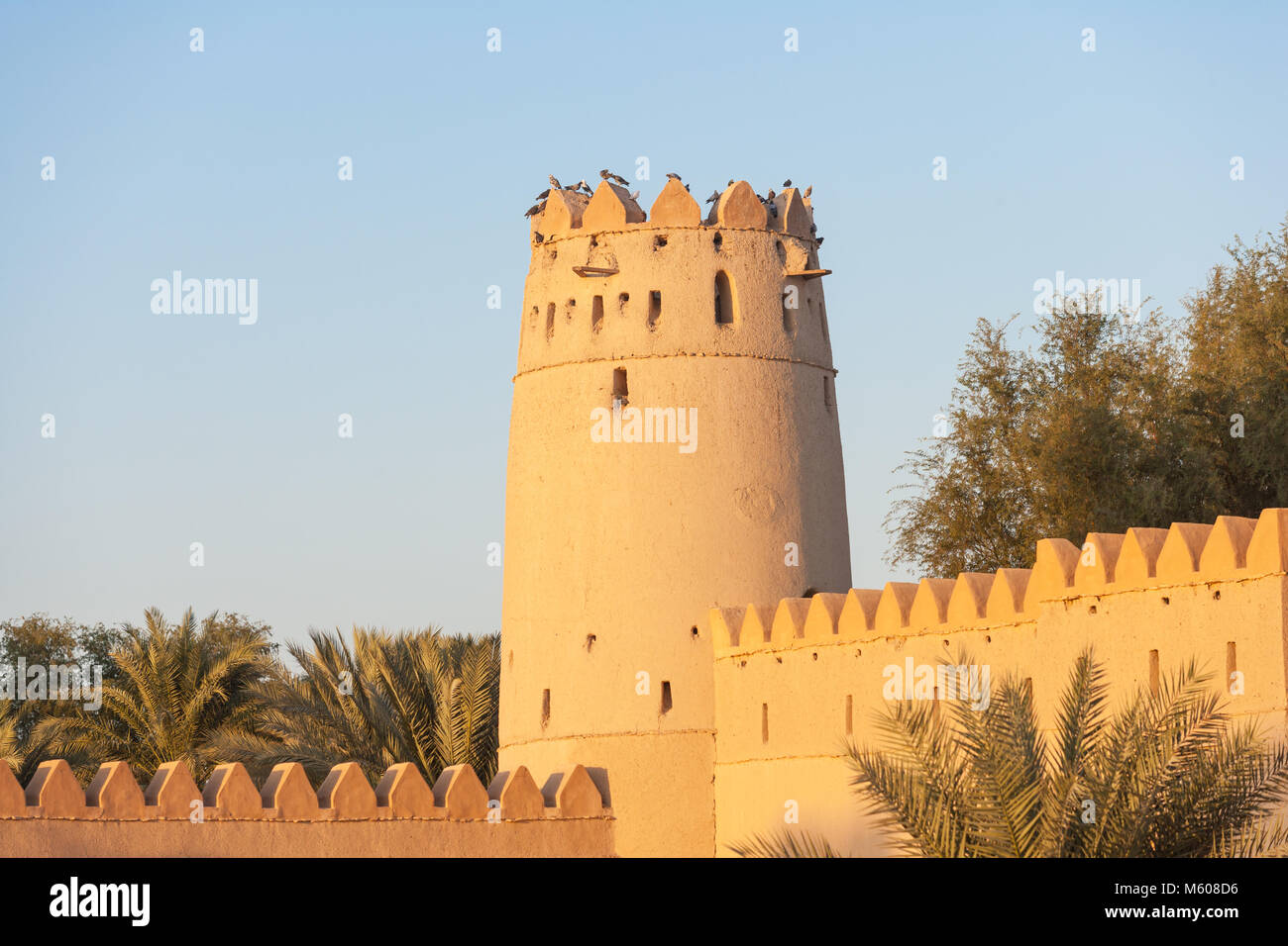 Al jahli fort hi-res stock photography and images - Alamy