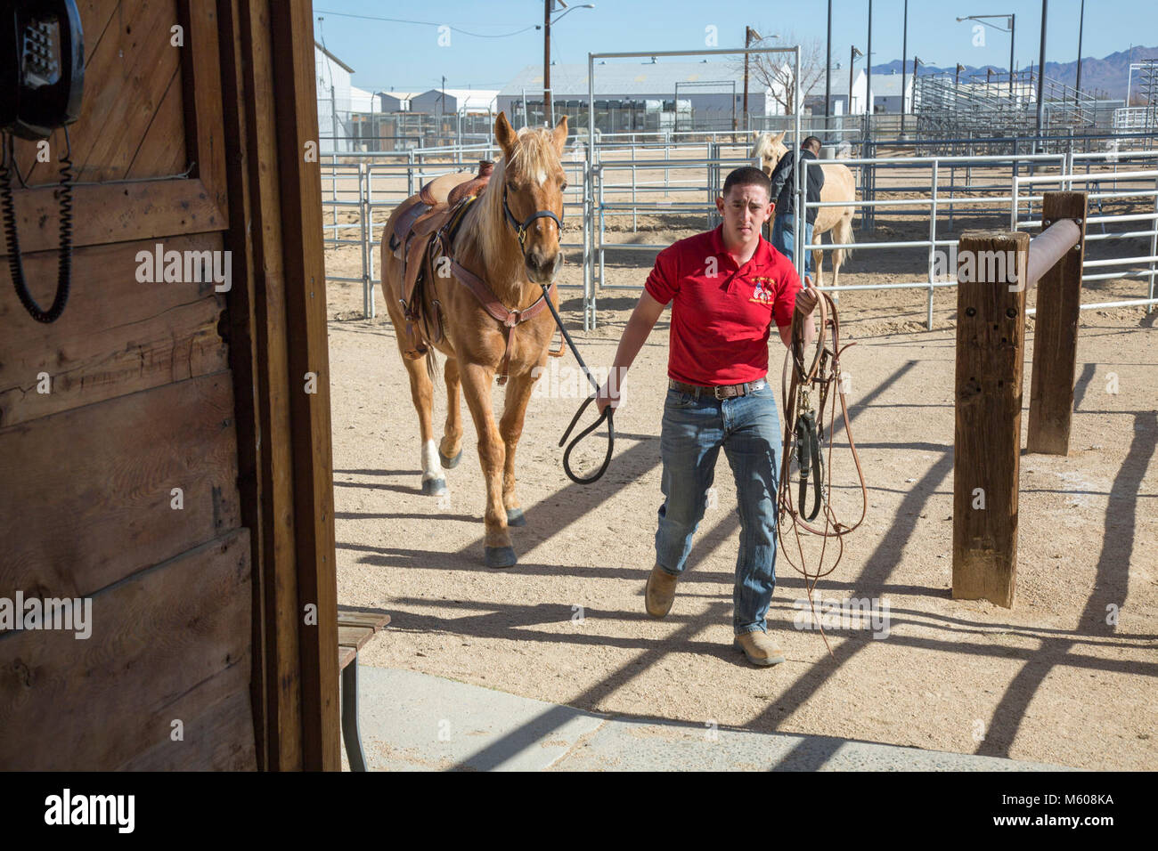 Gauna hi-res stock photography and images - Alamy