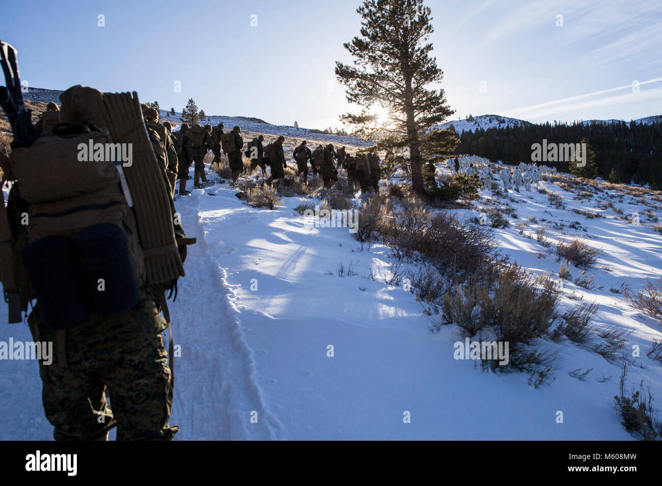 Marines and Sailors with Combat Logistics Regiment 25, 2nd Marine ...