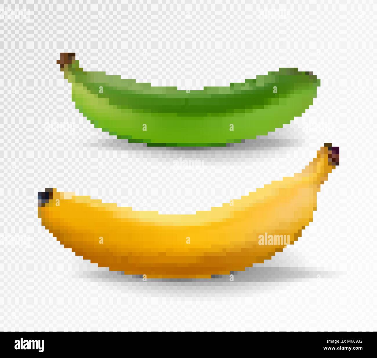 Banana realistic. Yellow and green banana vector illustration on transparent background ...