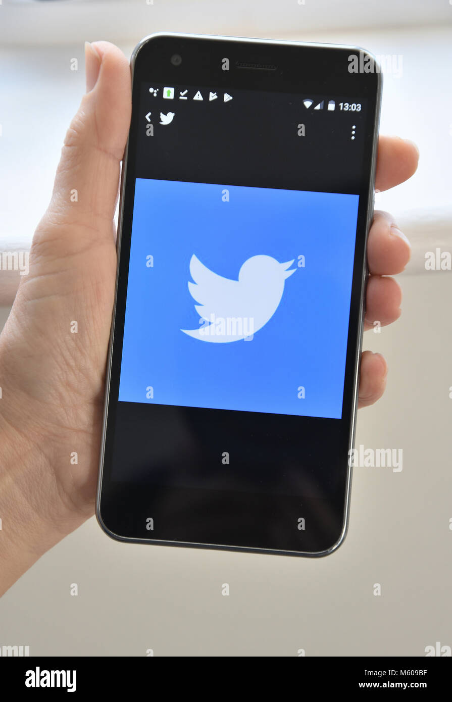 Mobile Phone displaying the twitter logo Stock Photo - Alamy