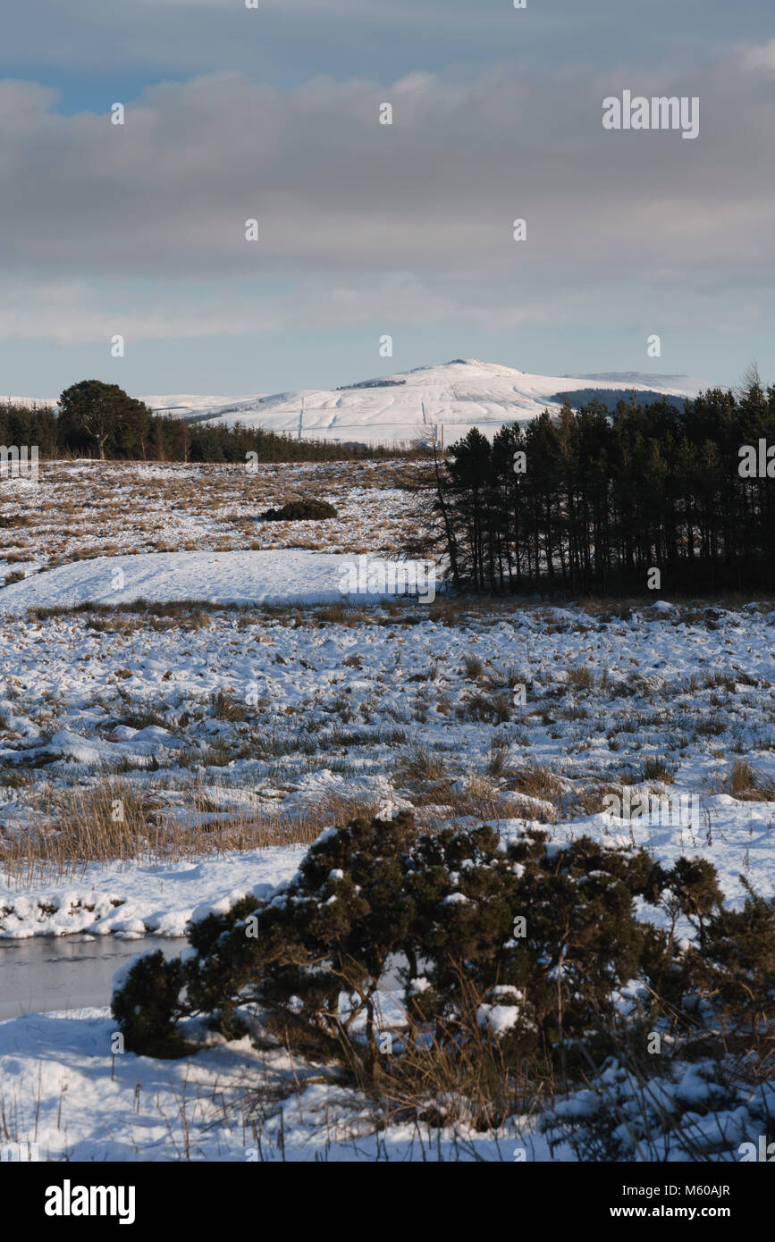 Scottish Borders in February light snow - near Hawick, view from A7 ...
