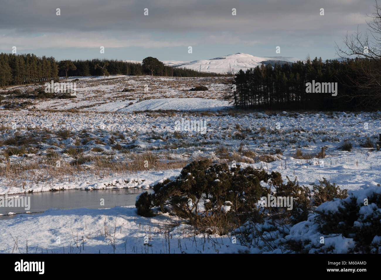 Scottish Borders in February light snow - near Hawick, view from A7 ...