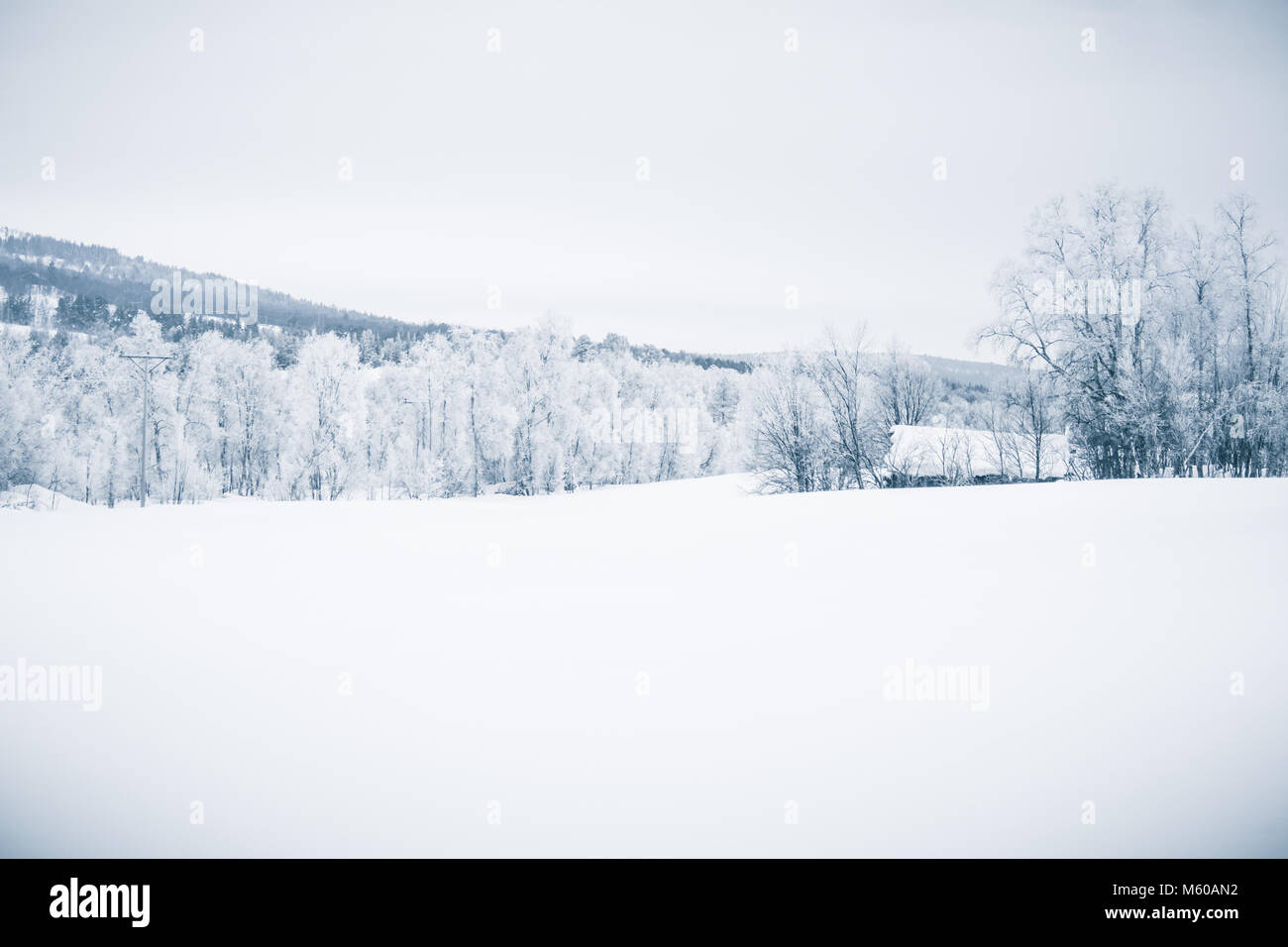 A beautiful winter landscape with snowy trees and mountains in a ...