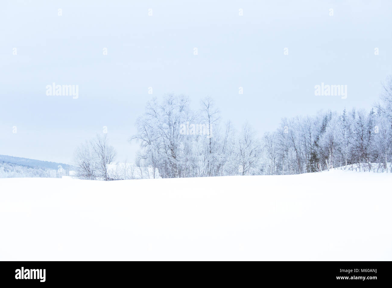 A beautiful winter landscape with snowy trees and mountains in a ...