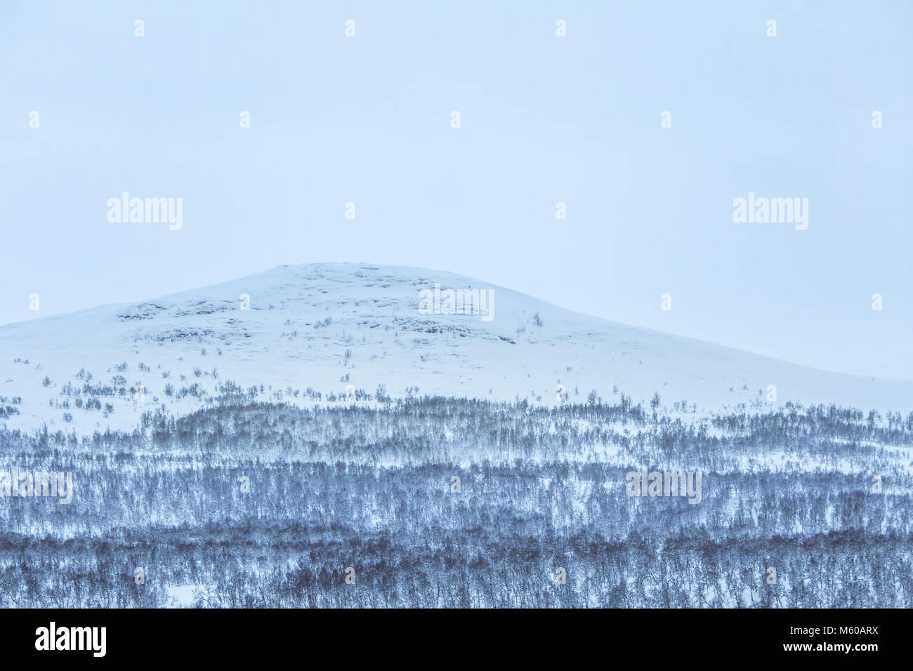 A beautiful winter landscape with snowy trees and mountains in a ...