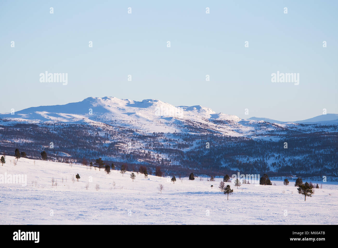 A beautiful winter landscape with snowy trees and mountains in a ...