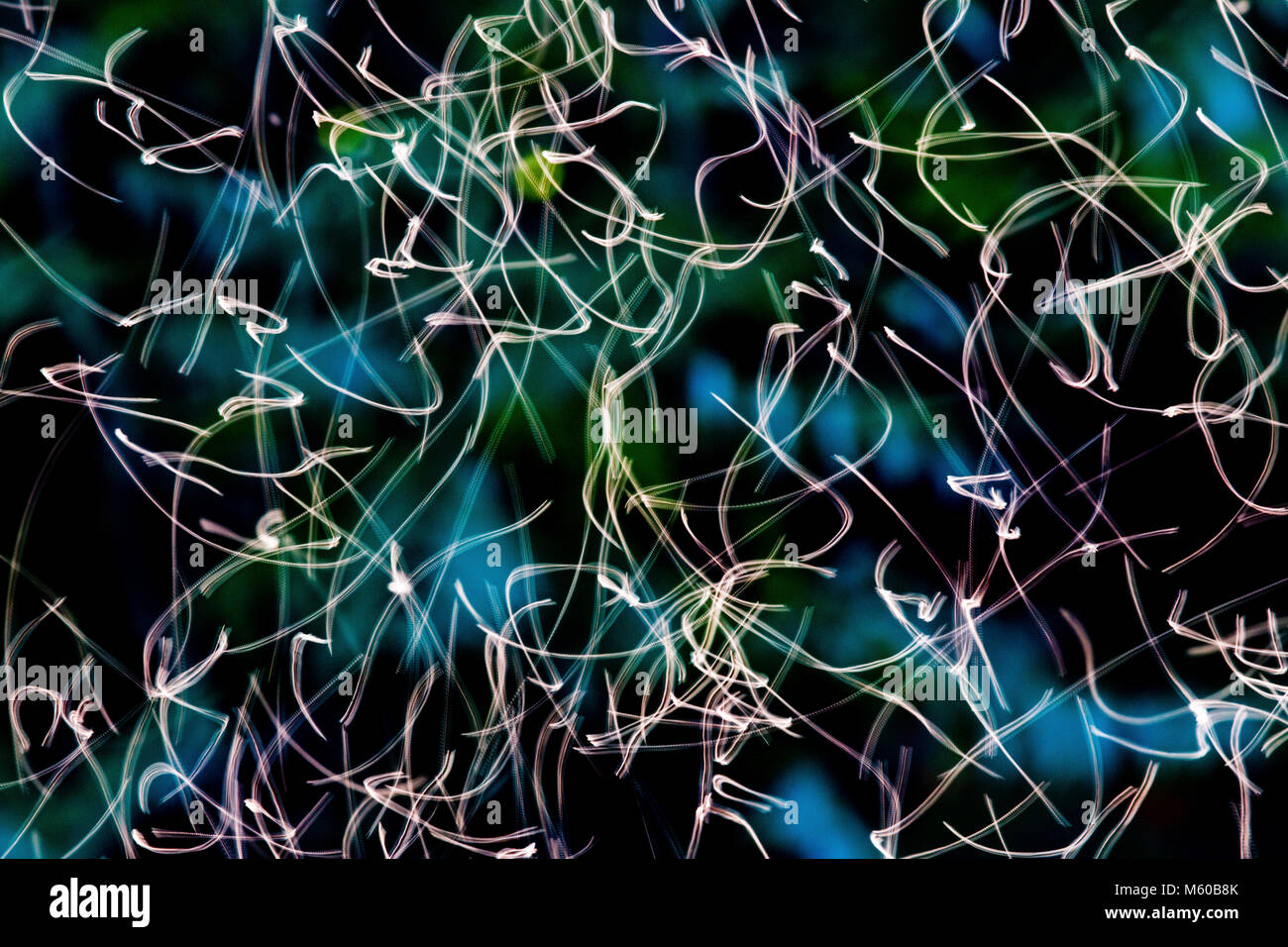 Insects flying hi-res stock photography and images - Alamy