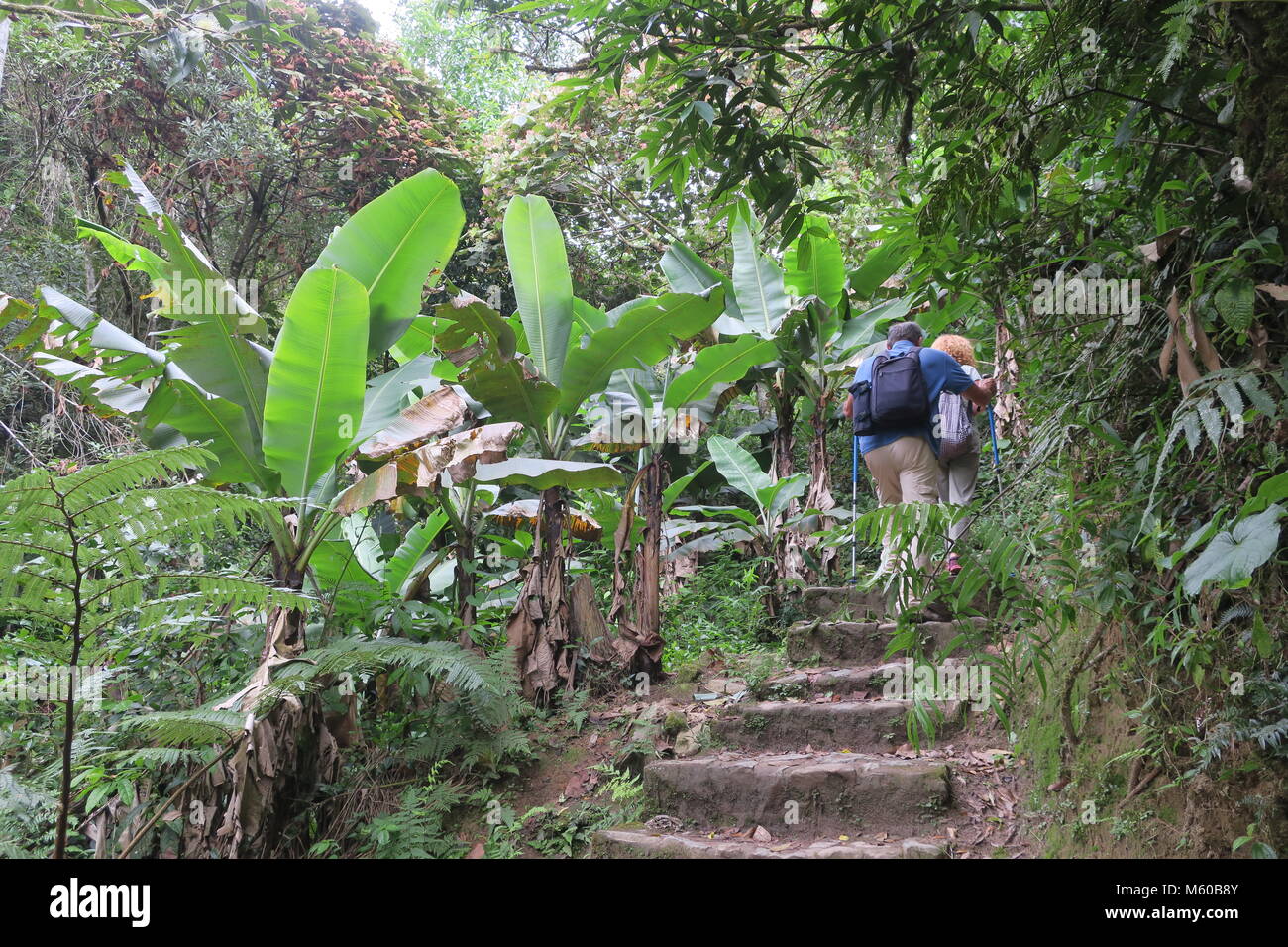 Colorful nature, island Madagascar Stock Photo - Alamy