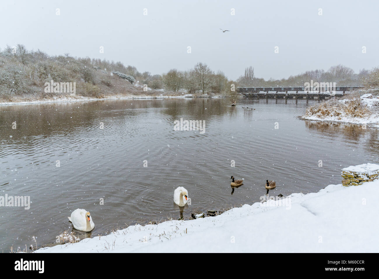 Cheshire snow 2018 hi-res stock photography and images - Alamy